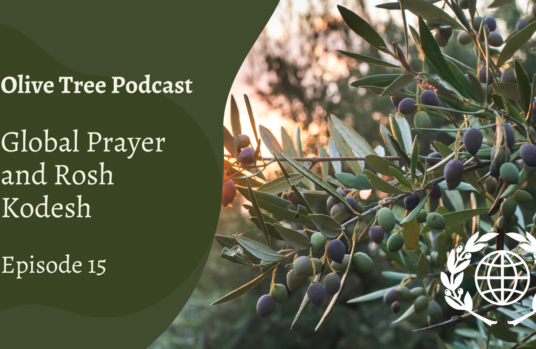 Olive Tree Talk - 15 - ICEJ UK